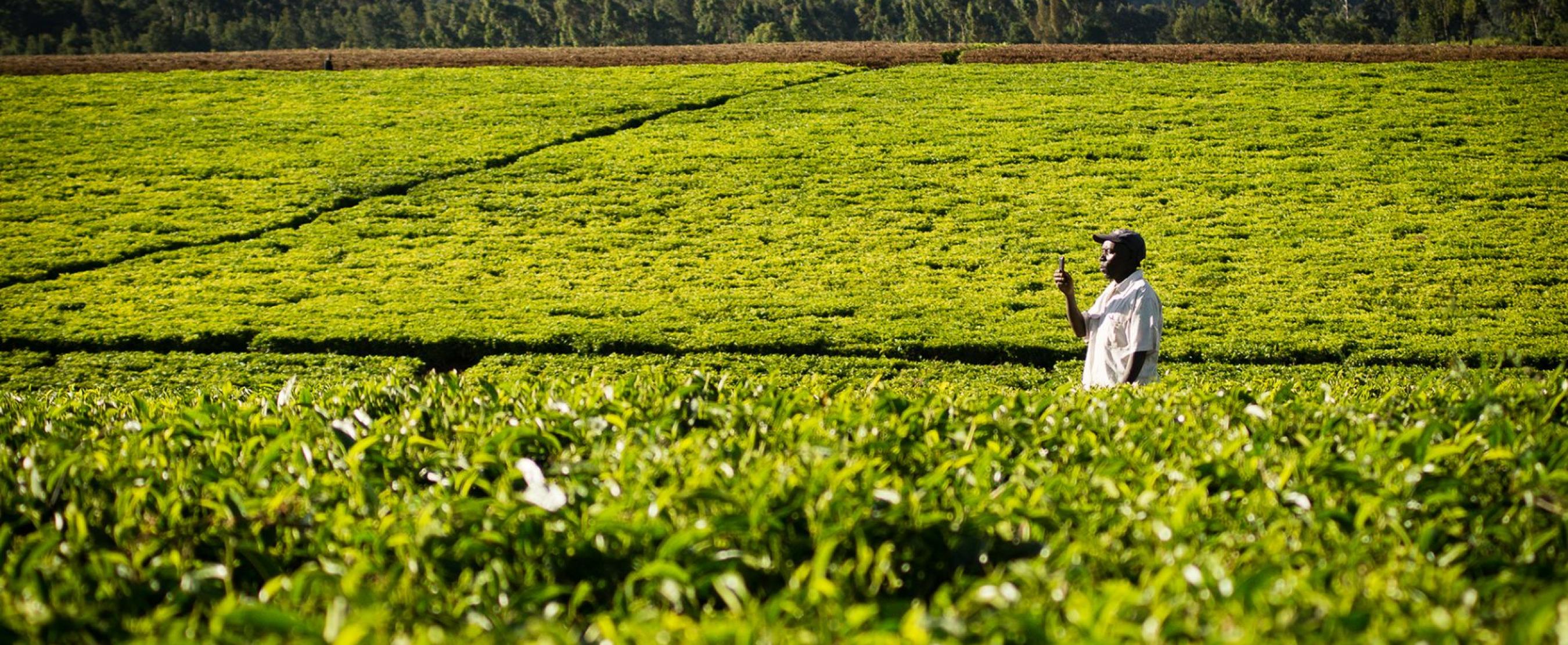 Letshego | Let's improve life